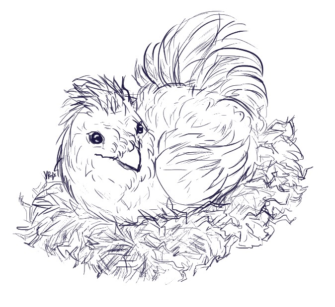 Baby chocobo - By @grimlinpeets on Itaku