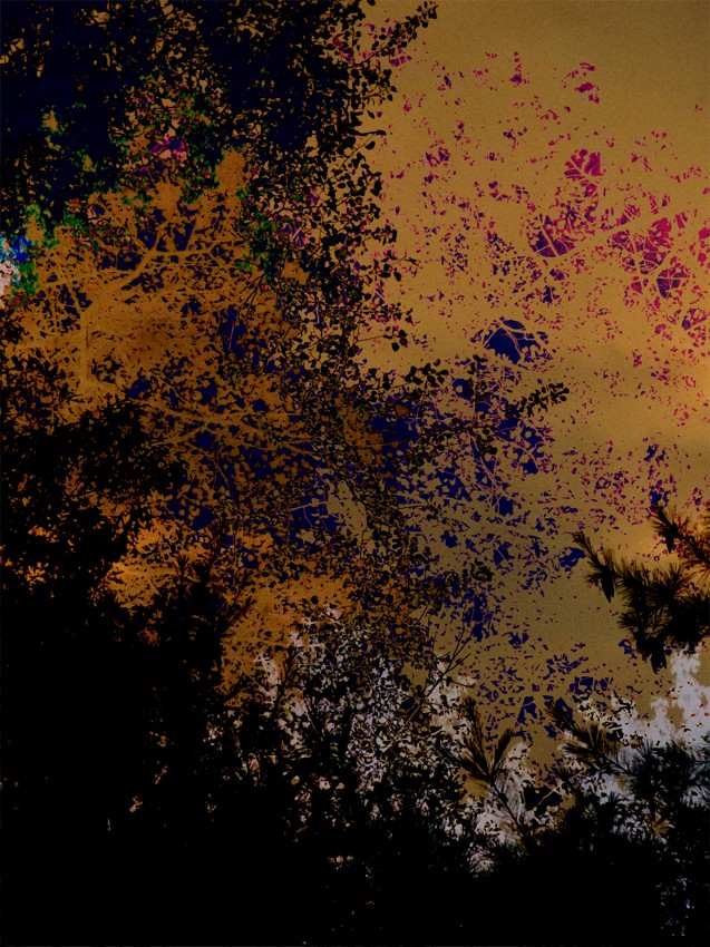 @fytchii's post on Itaku: "Trees 3"