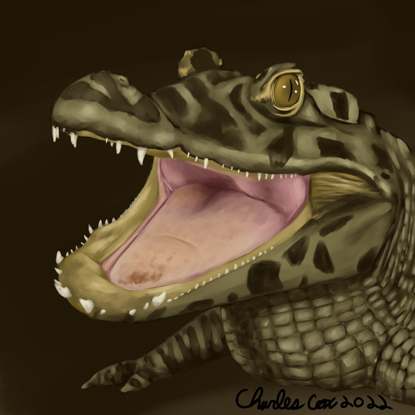 @bernad's post on Itaku