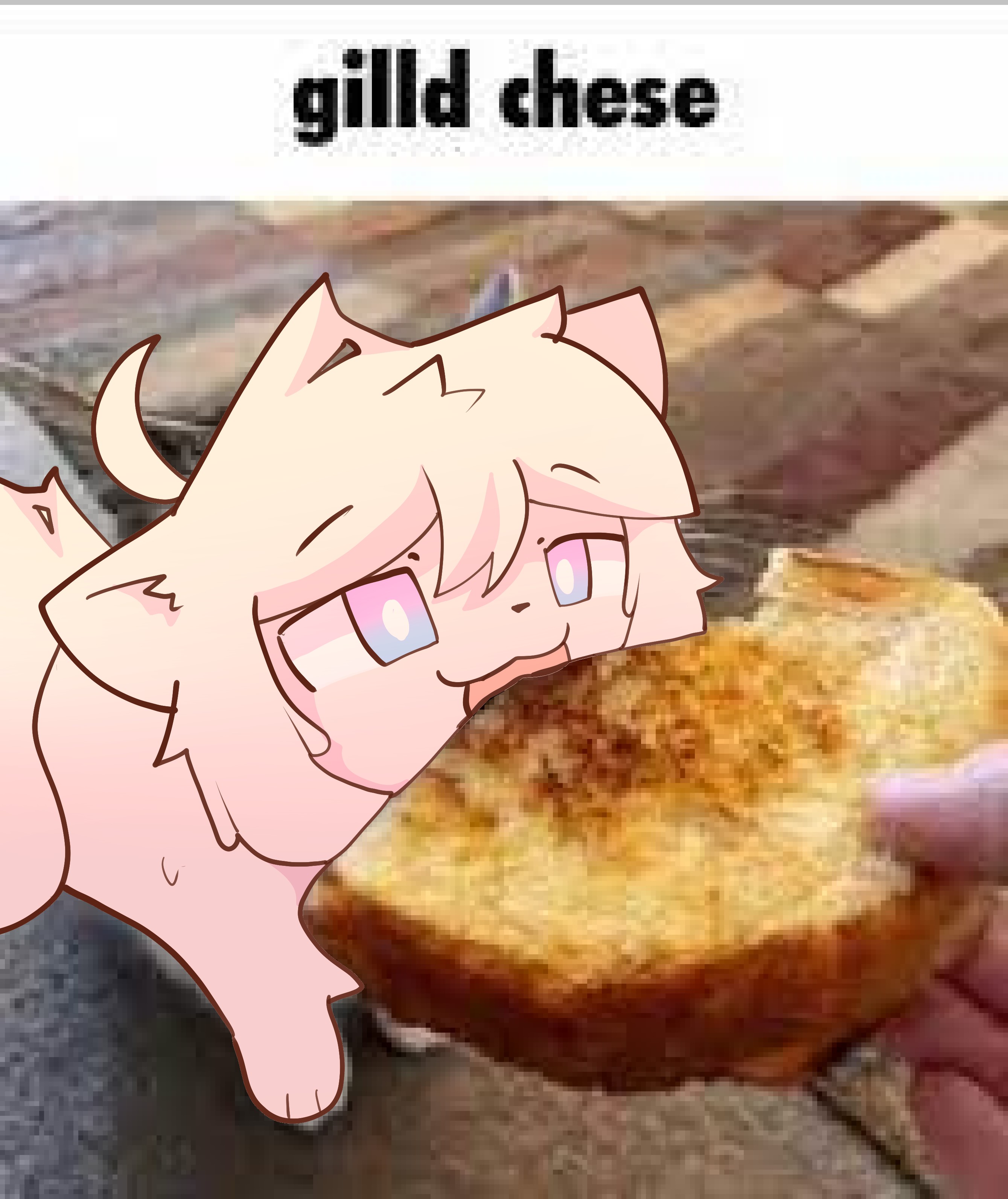 Gib chese - By @chillin_chillo on Itaku
