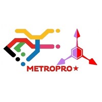 metropro (@metropro) - Itaku